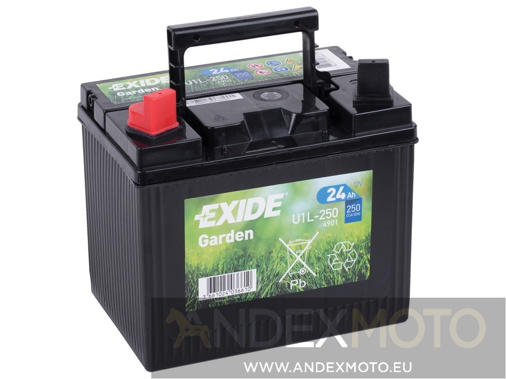Battery 12V 24Ah 4901 EXIDE Garden | MOTOCYCLE BATTERIES \ Exide Garden ...